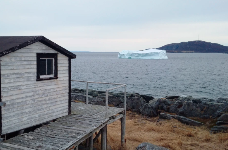 St. Anthony Bight - Iceberg Alley Boat Tours
